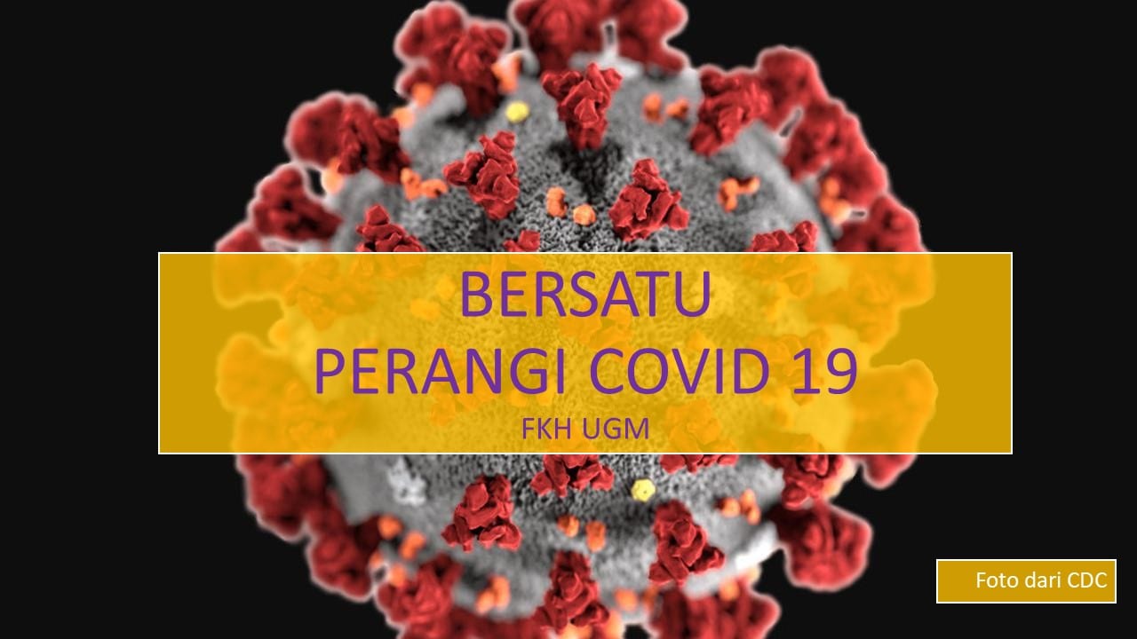 PERANGI COVID 19 BERSAMA-SAMA (Mengenal COVID 19) – Fakultas Kedokteran ... PERANGI COVID 19 BERSAMA-SAMA (Mengenal COVID 19) – Fakultas Kedokteran ...