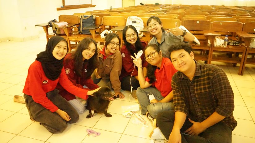 Pet Animal Series by KSHK: Skills and Knowledge Enhancement in Small ...