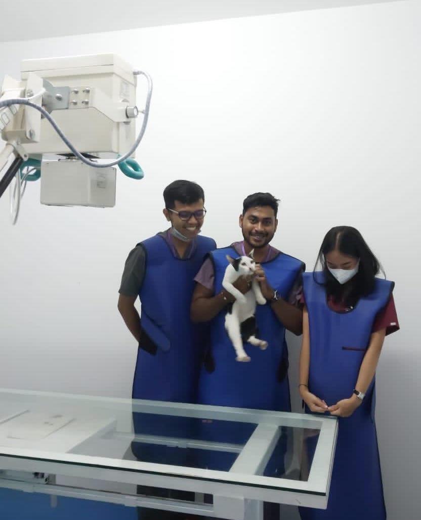 Manajemen Rumah Sakit Hewan (MRSH): Bagian yang Hilang dari Pendidikan ...